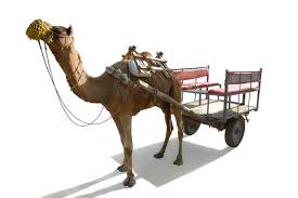 Transportation ( परिवहनम् ) - Sanskrit Glossary (Word List) | KST
